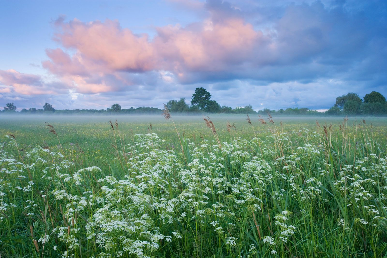 Success of EC's new nature plan will hinge on further action to tackle ...