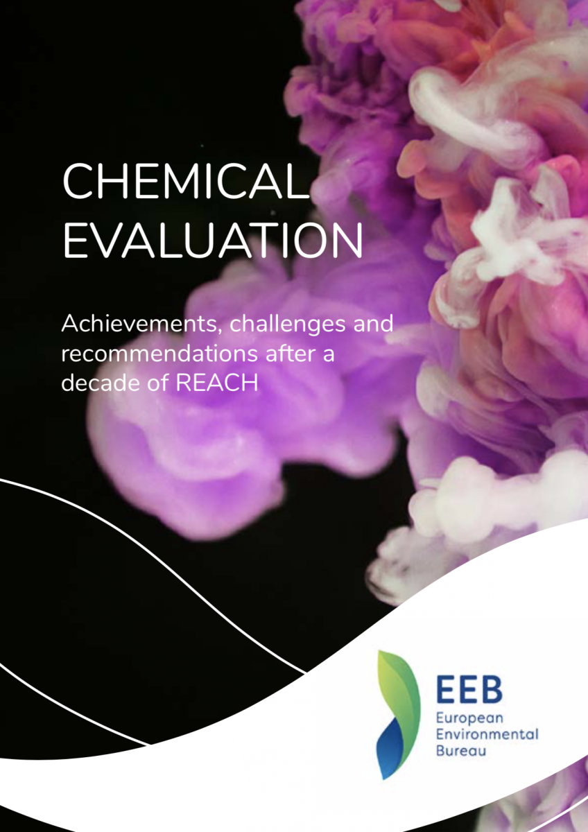 Substance Evaluation under REACH report - EEB - The European ...
