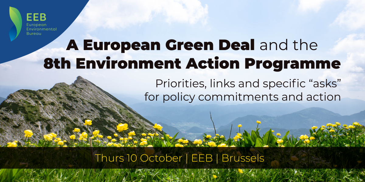 A European Green Deal and the 8th Environment Action Programme - 10 ...