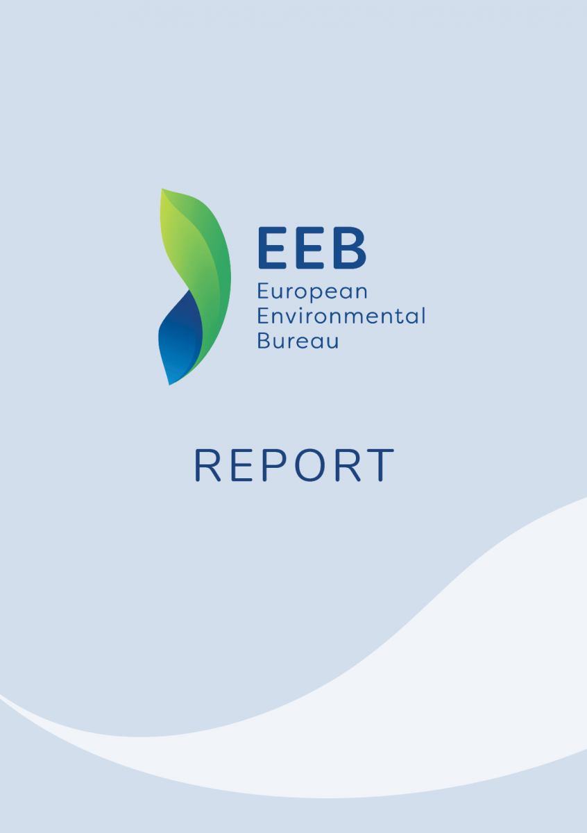 The final sprint for Europe's rivers report