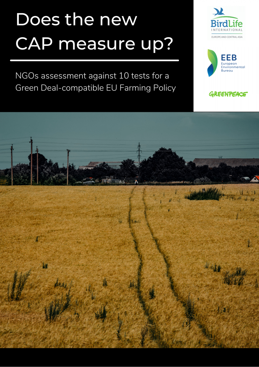 Does the new CAP measure up? - NGOs assessment against 10 tests for a ...