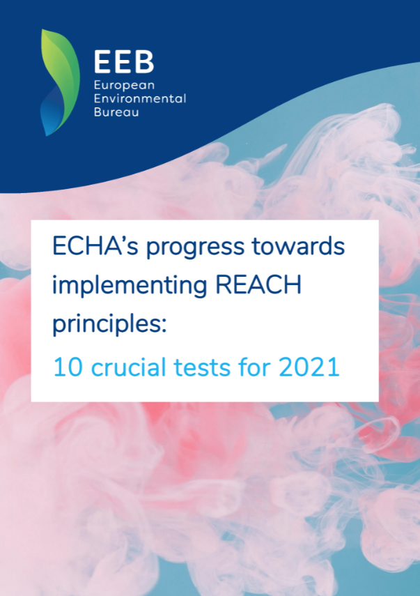 ECHA progress on REACH - 10 crucial tests for 2021