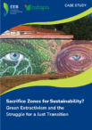 Sacrifice zones for sustainability? Green extractivism and the struggle ...