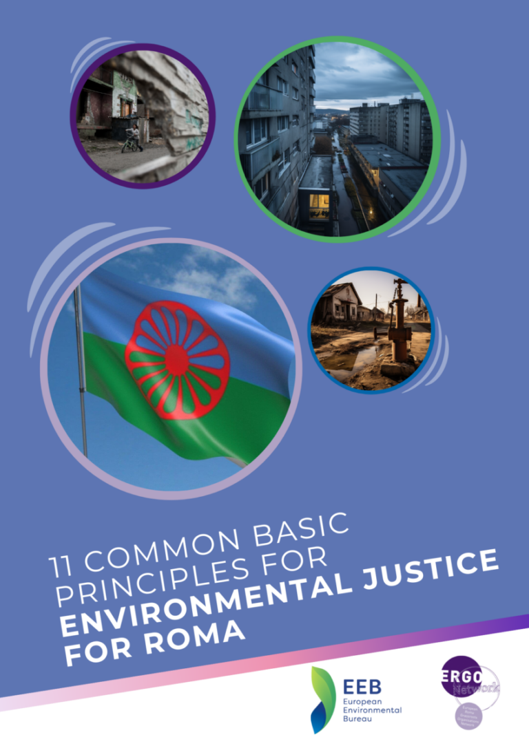 Common Basic Principles for Environmental Justice for Roma