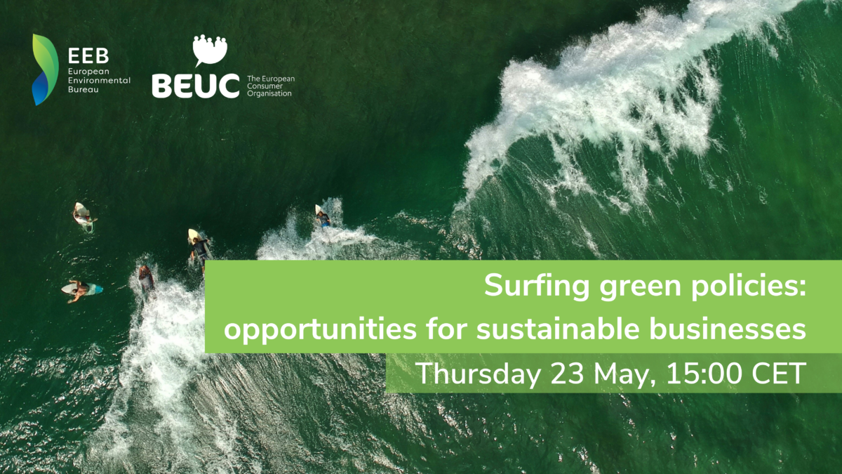 Surfing green policies: opportunities for sustainable businesses