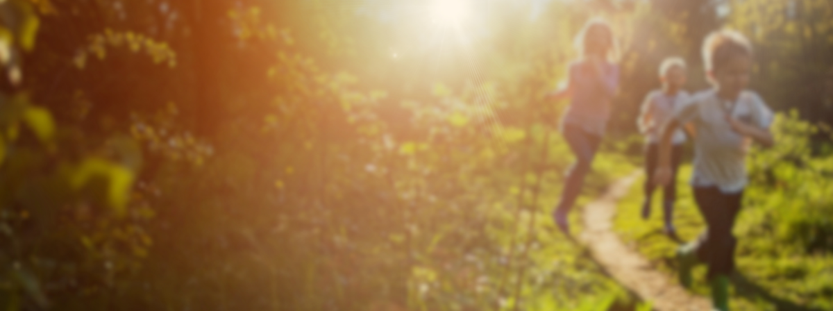 EEB - The European Environmental Bureau