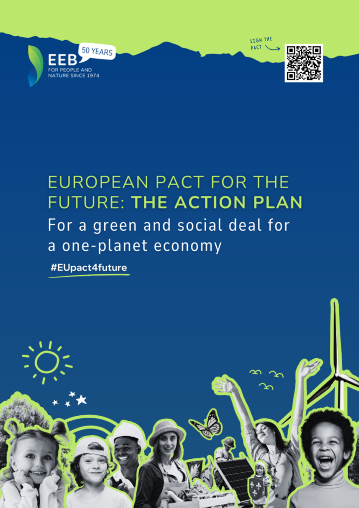 European Pact for the Future - The Action Plan