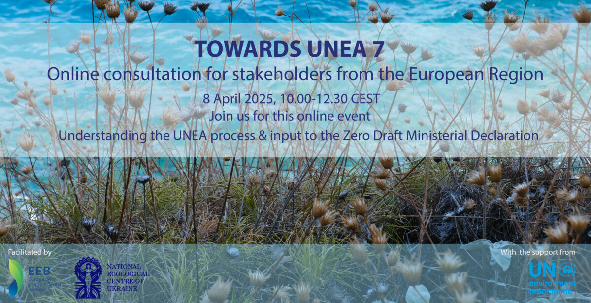 Towards UNEA 7 - 8 April - Online