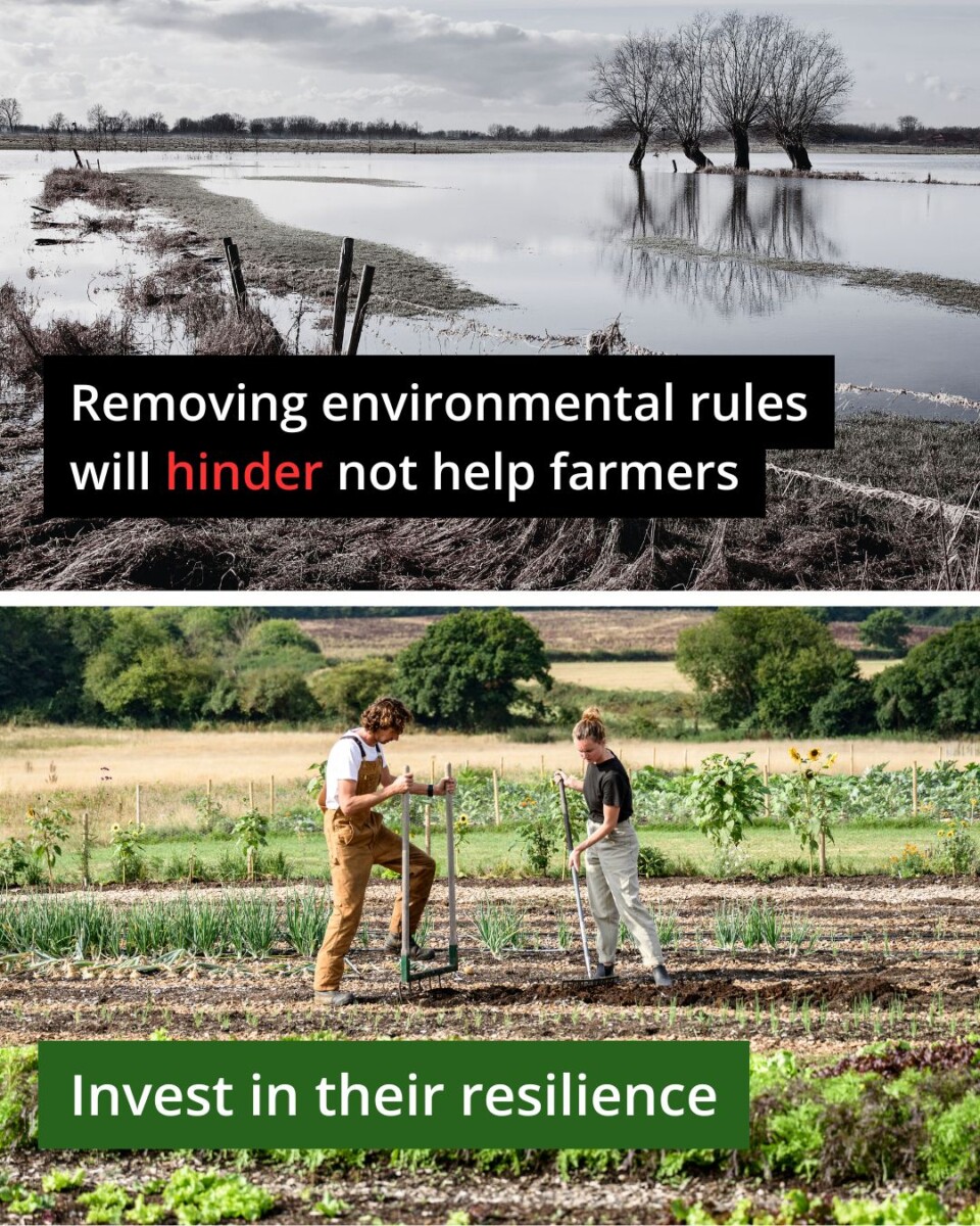 Invest in their resilience