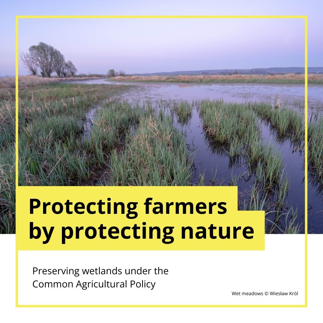Protecting farmers by protecting nature