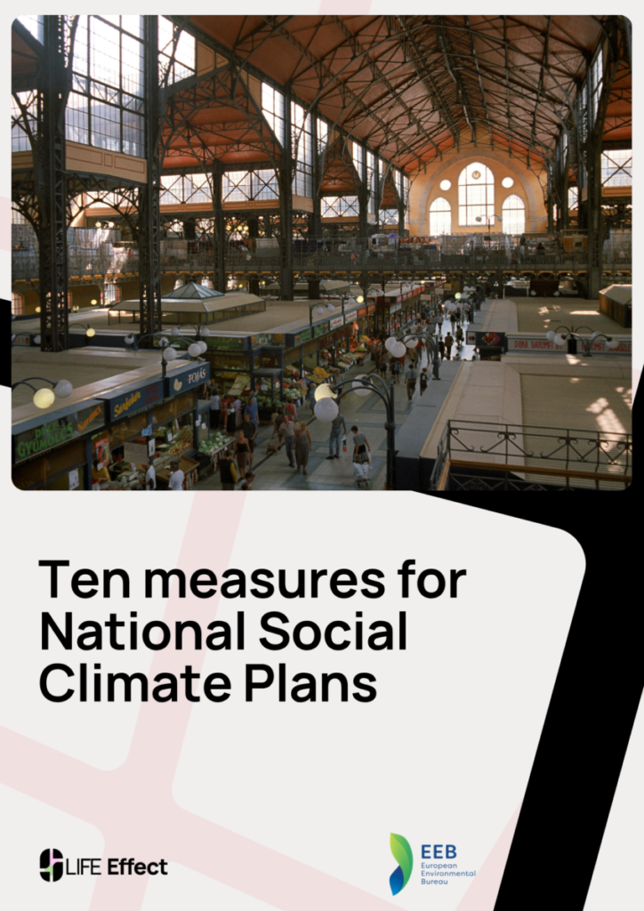 Ten Measures for National Social Climate Plans